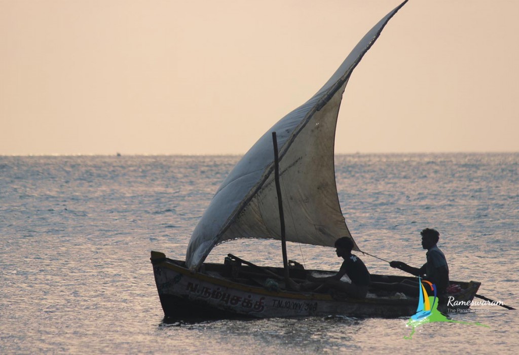 Kurusadai Island Photos - Rameswaram - Rameswaram Tourism