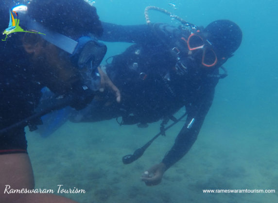 Rameshwaram Tourism, Places to visit in Rameshwaram, Travel Guide